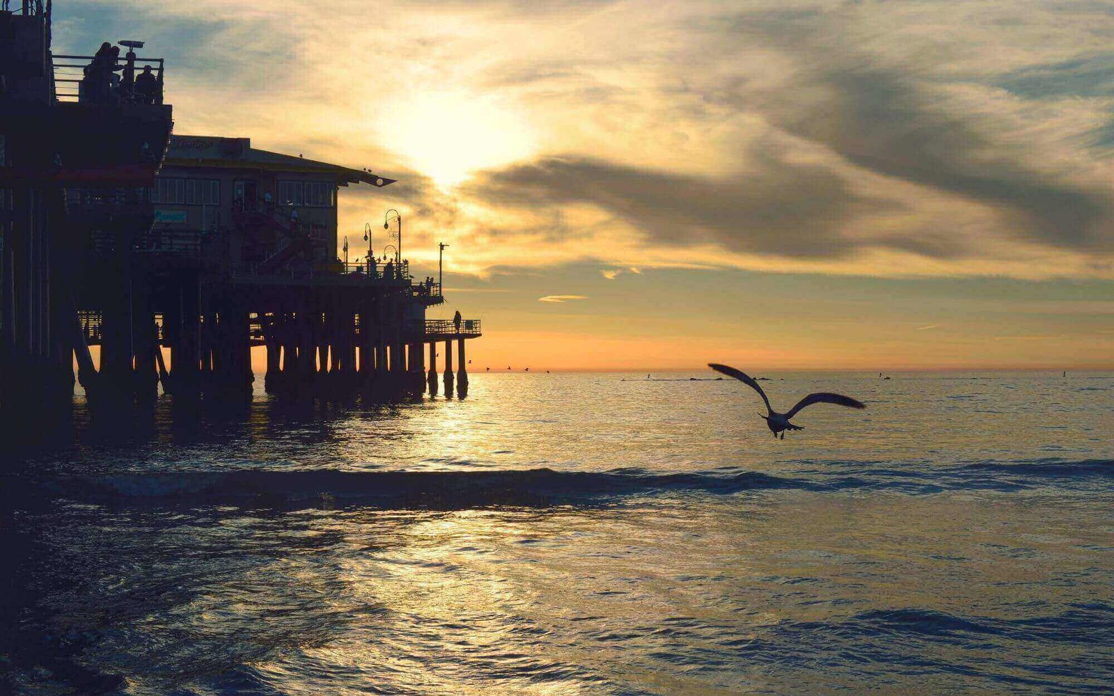 Sea Liners | Clearing & Shipping Company